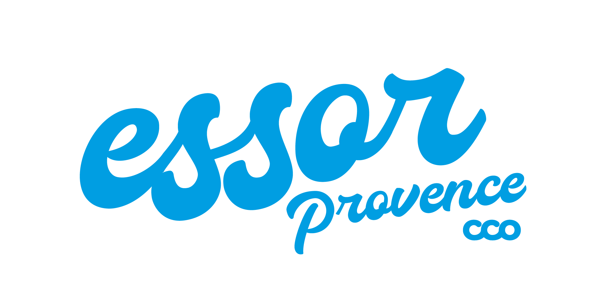 ESSOR Provence – Lieu accueil RSA – DARAE